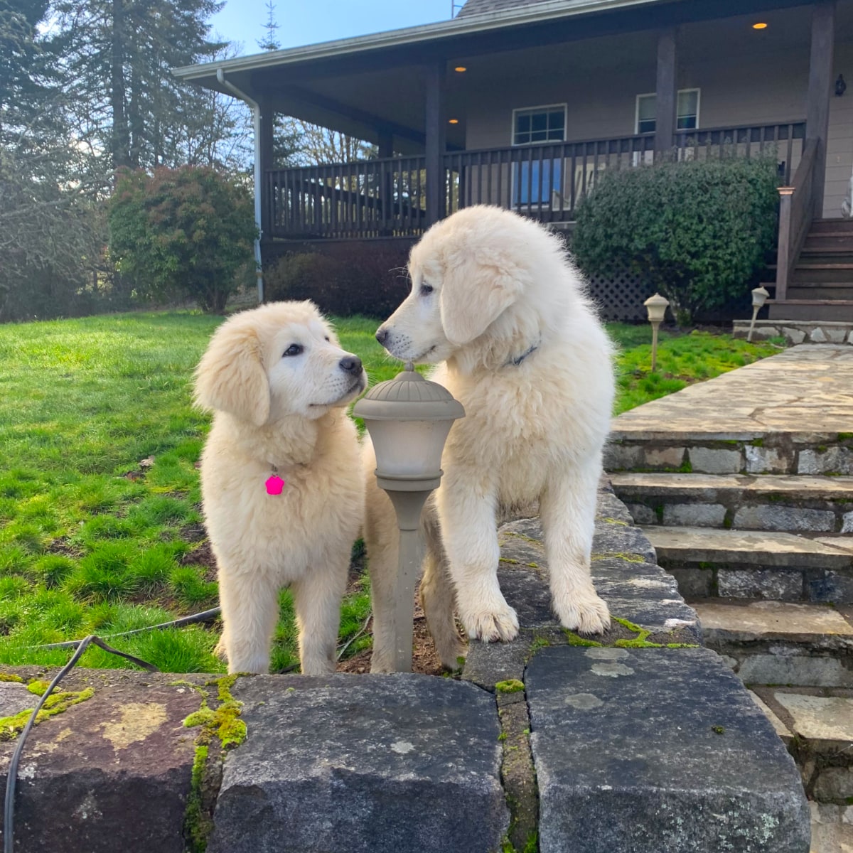 Compton-Family-Farms-Philomath-Oregon